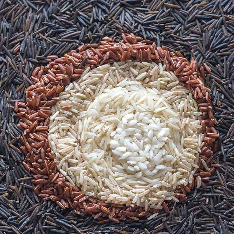 Rice and Grains and Processed Grain and Flour Products Supplier